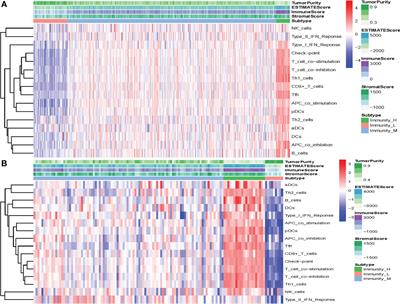 Frontiers | Development and validation of a novel immunotype for prediction of overall survival ...